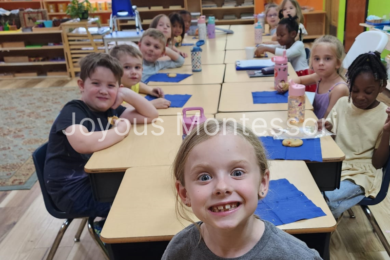 Explore Our Captivating Photo Gallery | Joyous Montessori