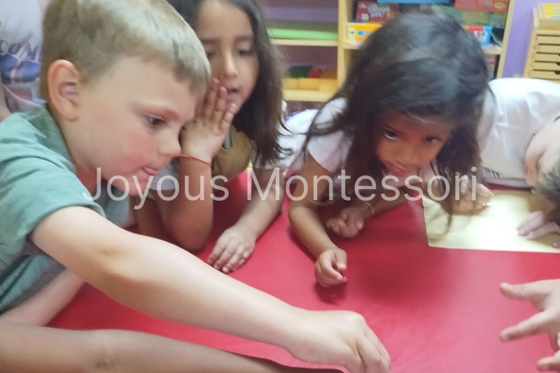Explore Our Captivating Photo Gallery | Joyous Montessori