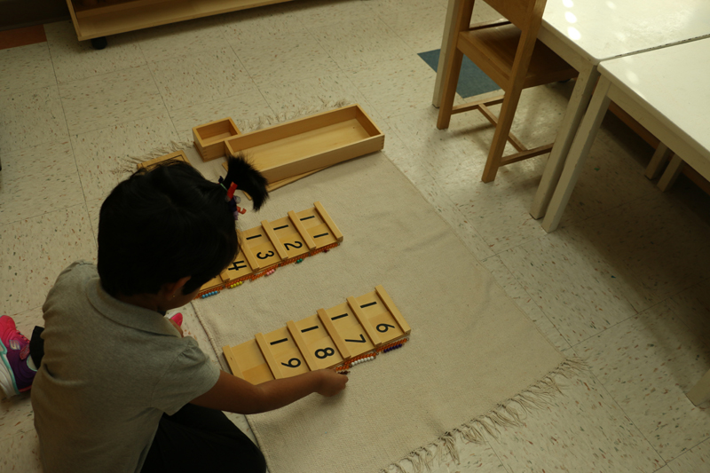 Explore Our Captivating Photo Gallery | Joyous Montessori