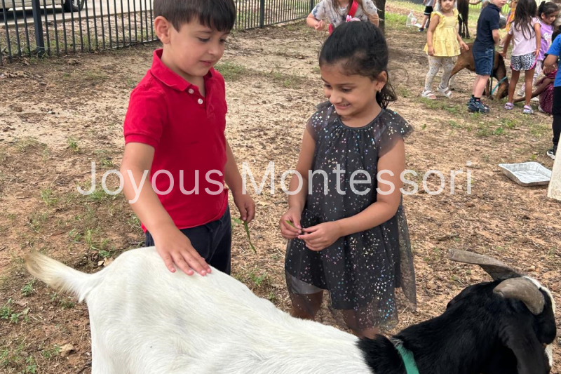 Explore Our Captivating Photo Gallery | Joyous Montessori