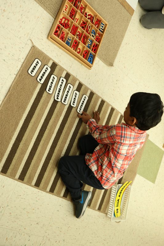 Explore Our Captivating Photo Gallery | Joyous Montessori